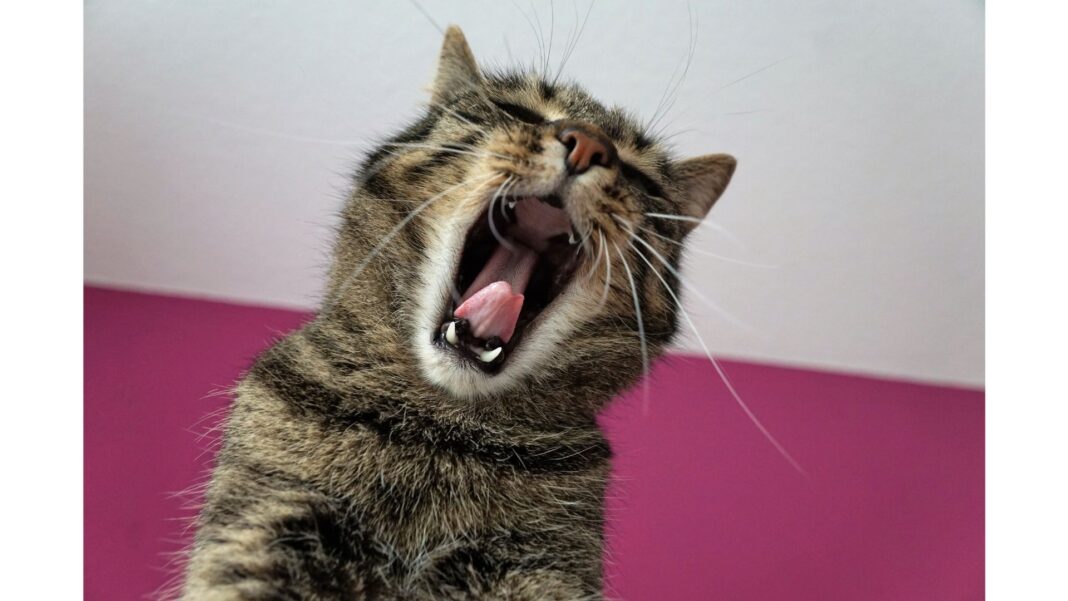 MY 2020 VISION BOARD | + How-To Guide for Making a Vision Board - The ...