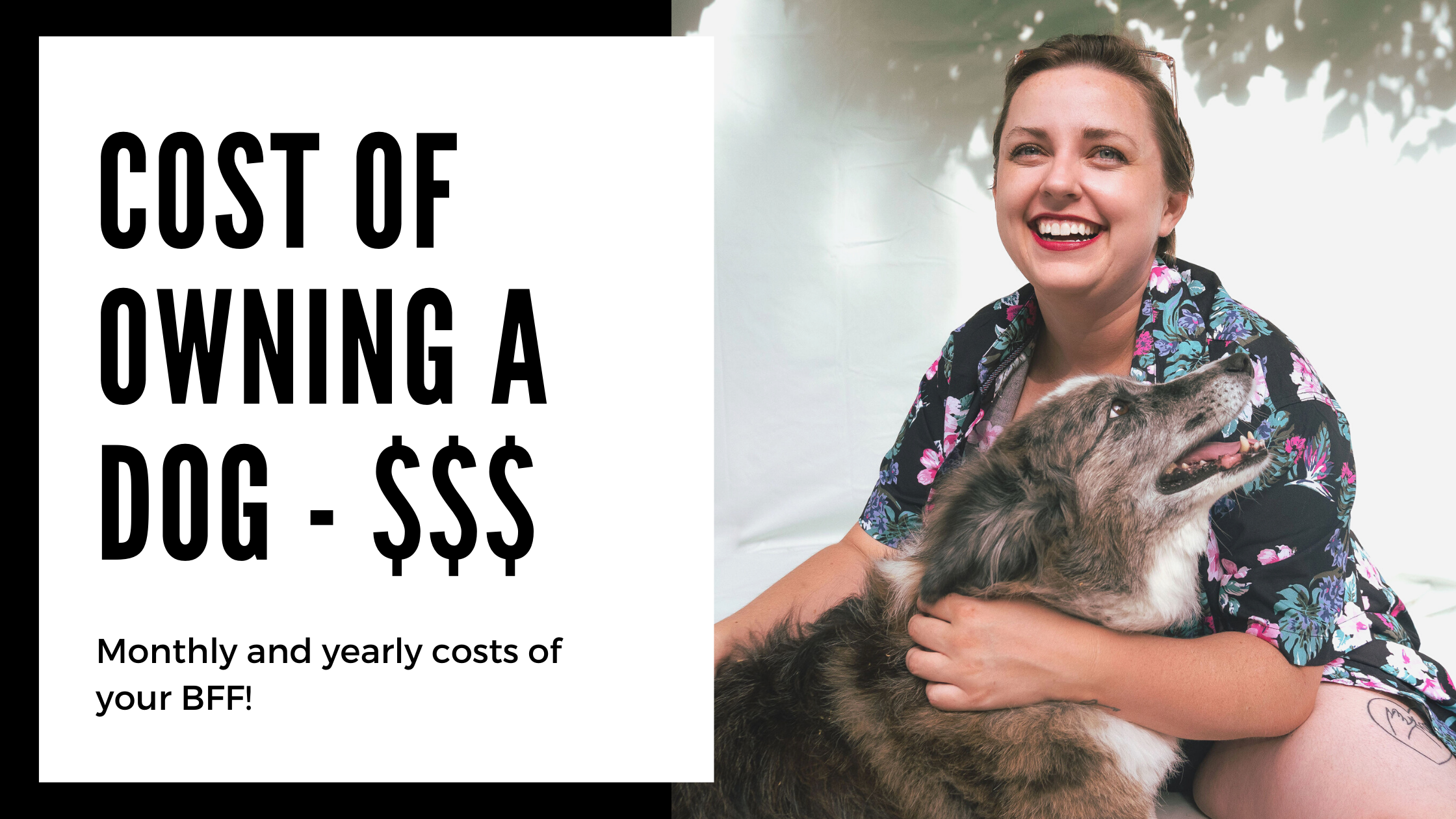 How Much Does It Cost To Have A Dog Cost Of Care For Corgi Mix Lena 