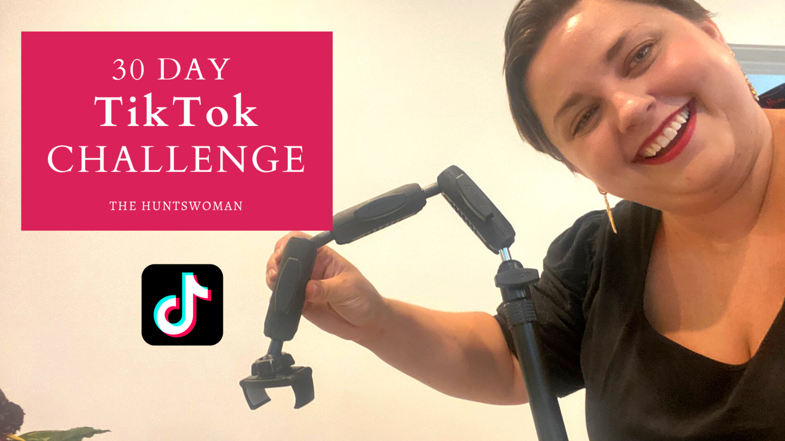 TikTok 30 Day Challenge Guide - 2022 - The Huntswoman
