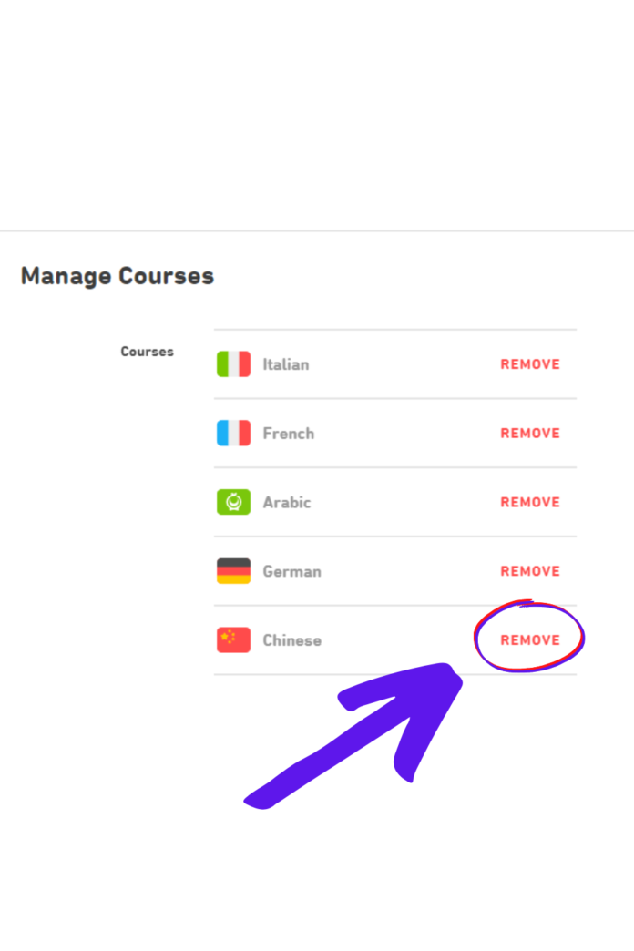 How to Start Over on Duolingo | Reset & Restart a Language in 2023 ...
