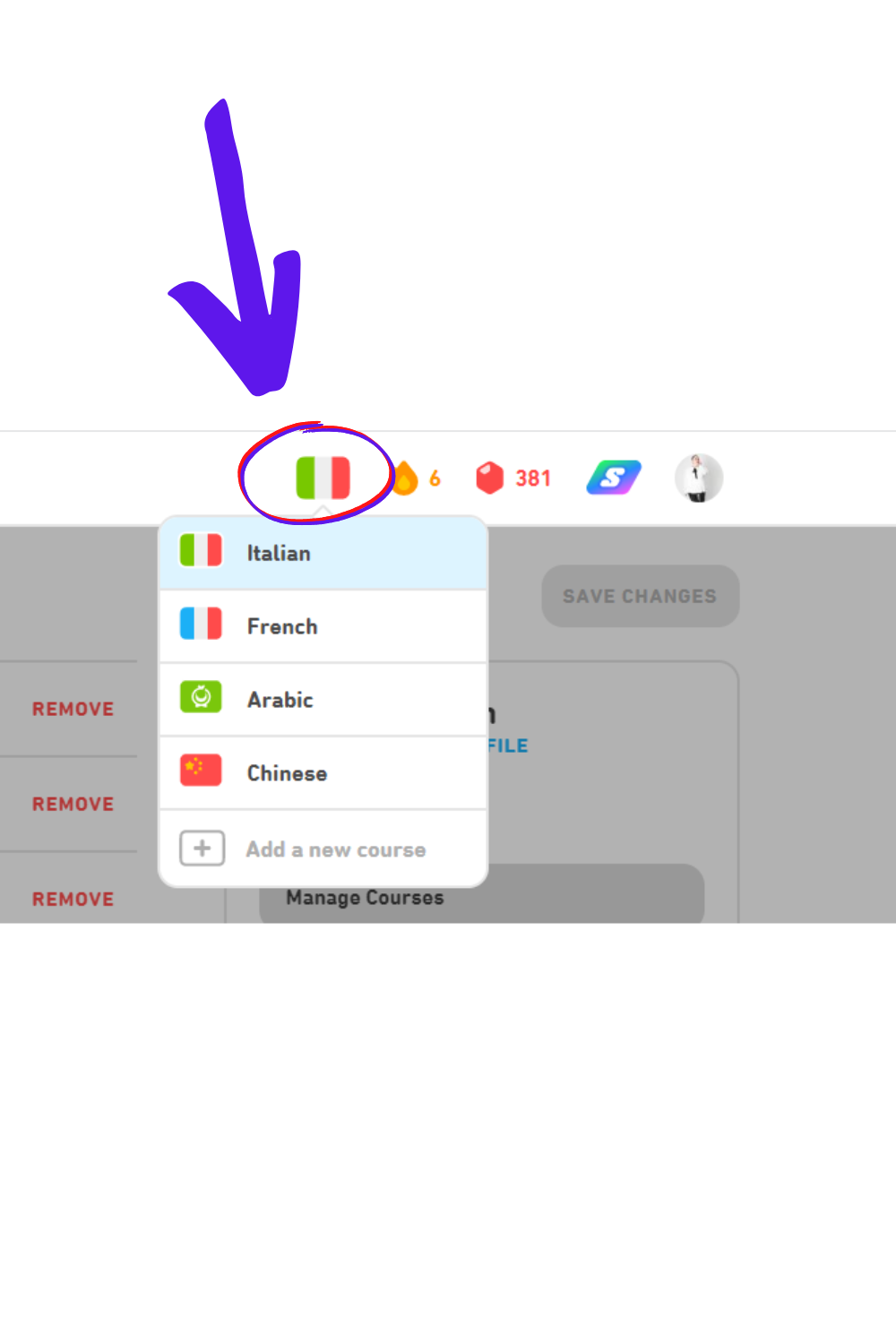 How to Start Over on Duolingo | Reset & Restart a Language in 2023 ...