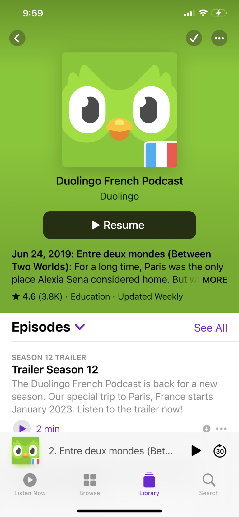 11+ Best Duolingo French Tips (Incredibly Helpful!!) - My BEST Tips for ...