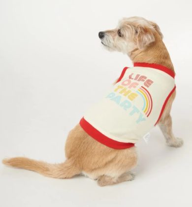 54 Most Unique & PERFECT Rainbow Gifts in 2023 - The Huntswoman