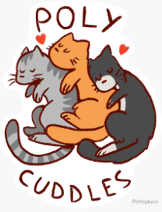 48+ BEST & Most FUN Throuple Gifts | Gifts for Triads & Polyamory ...