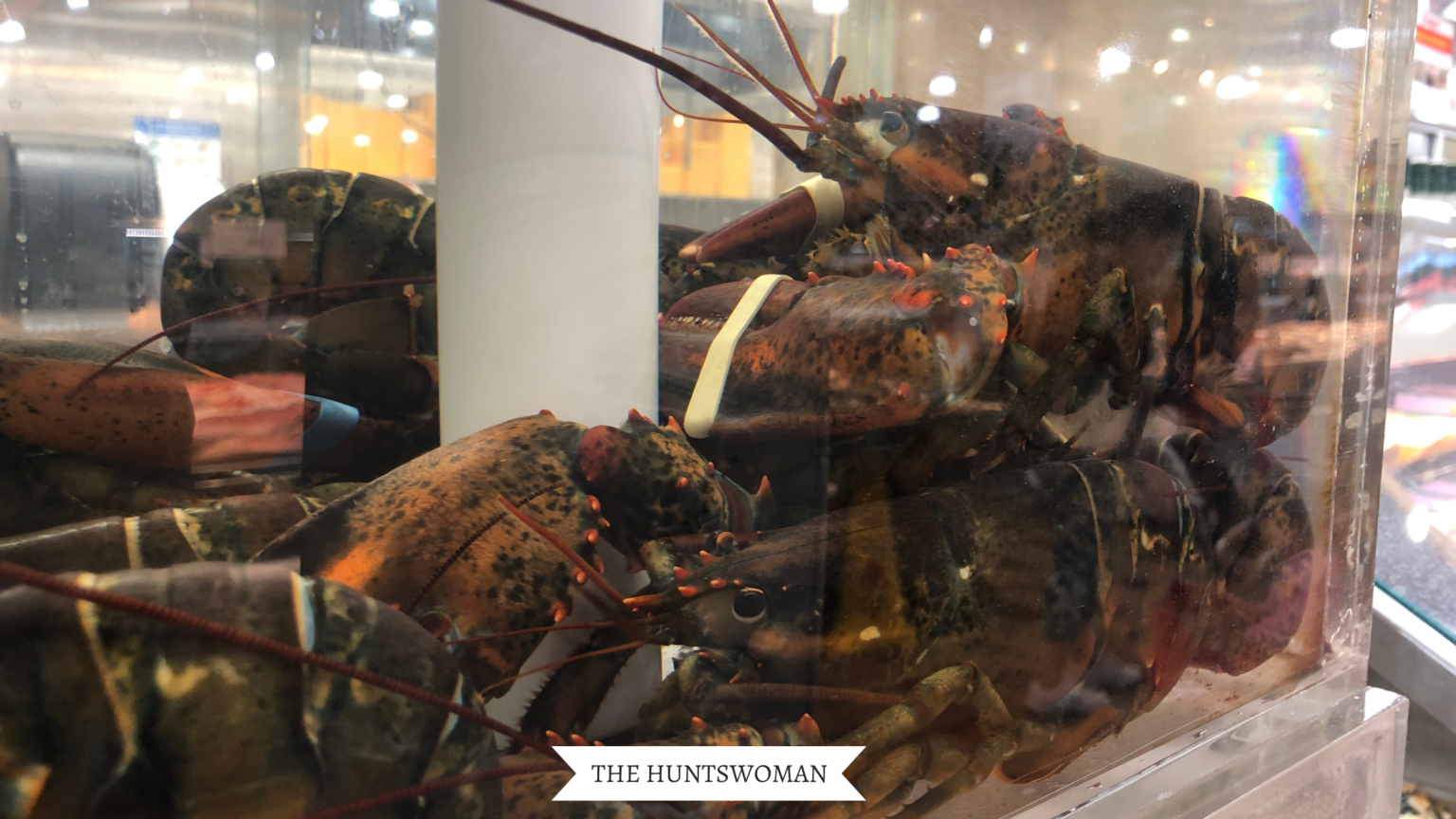 Watch Out for The Lobsters In Your Life - My Lobster Parable - The ...